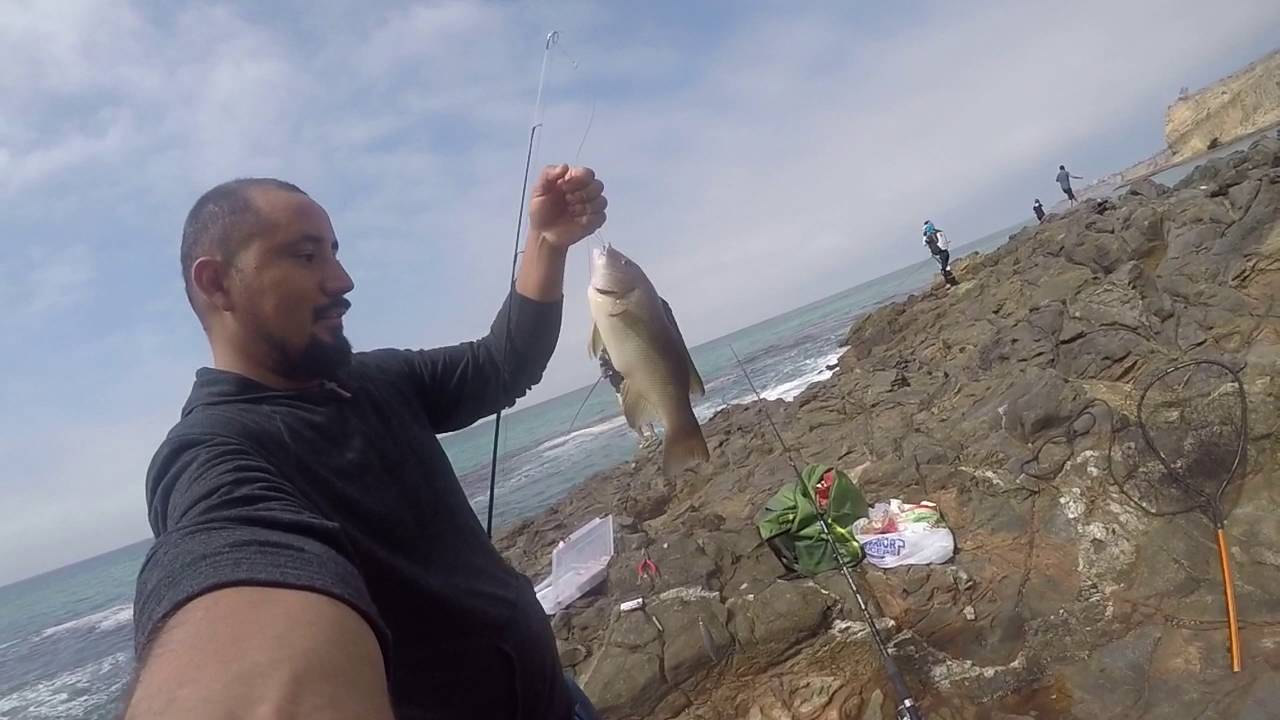 Palos verdes fishing - YouTube