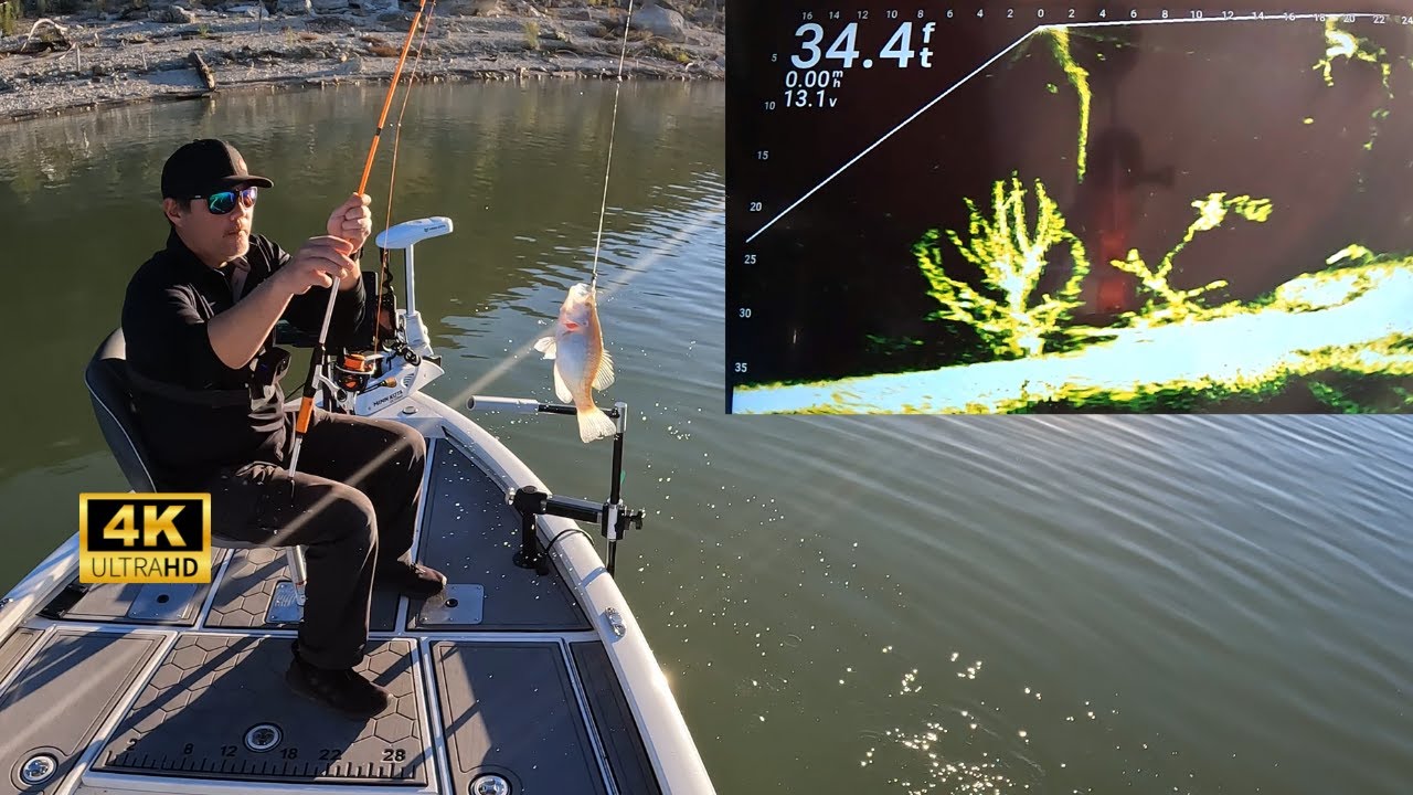 Vertical Jigging Crappie and Bass Beautiful Day - YouTube