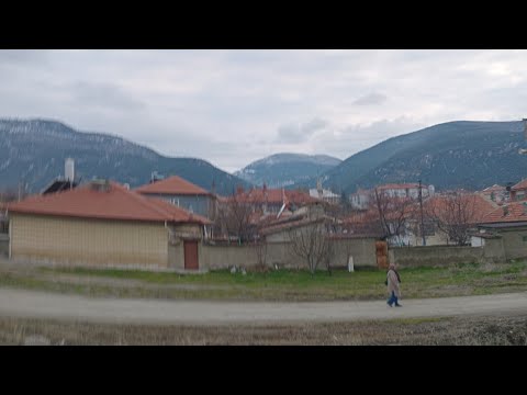 Celal Öz;Delale rınde,söz müz.Celal Öz