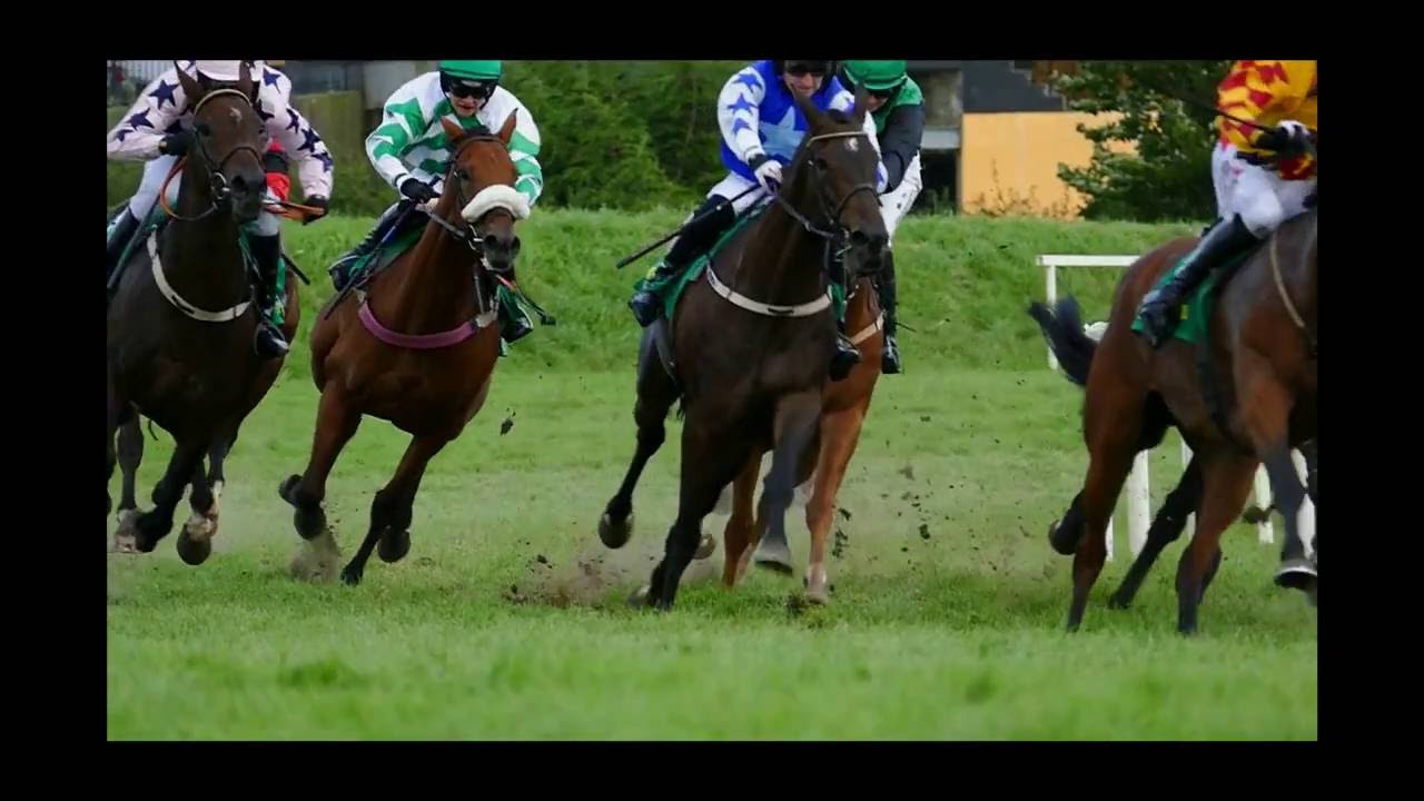 Listowel Races 2016 - YouTube