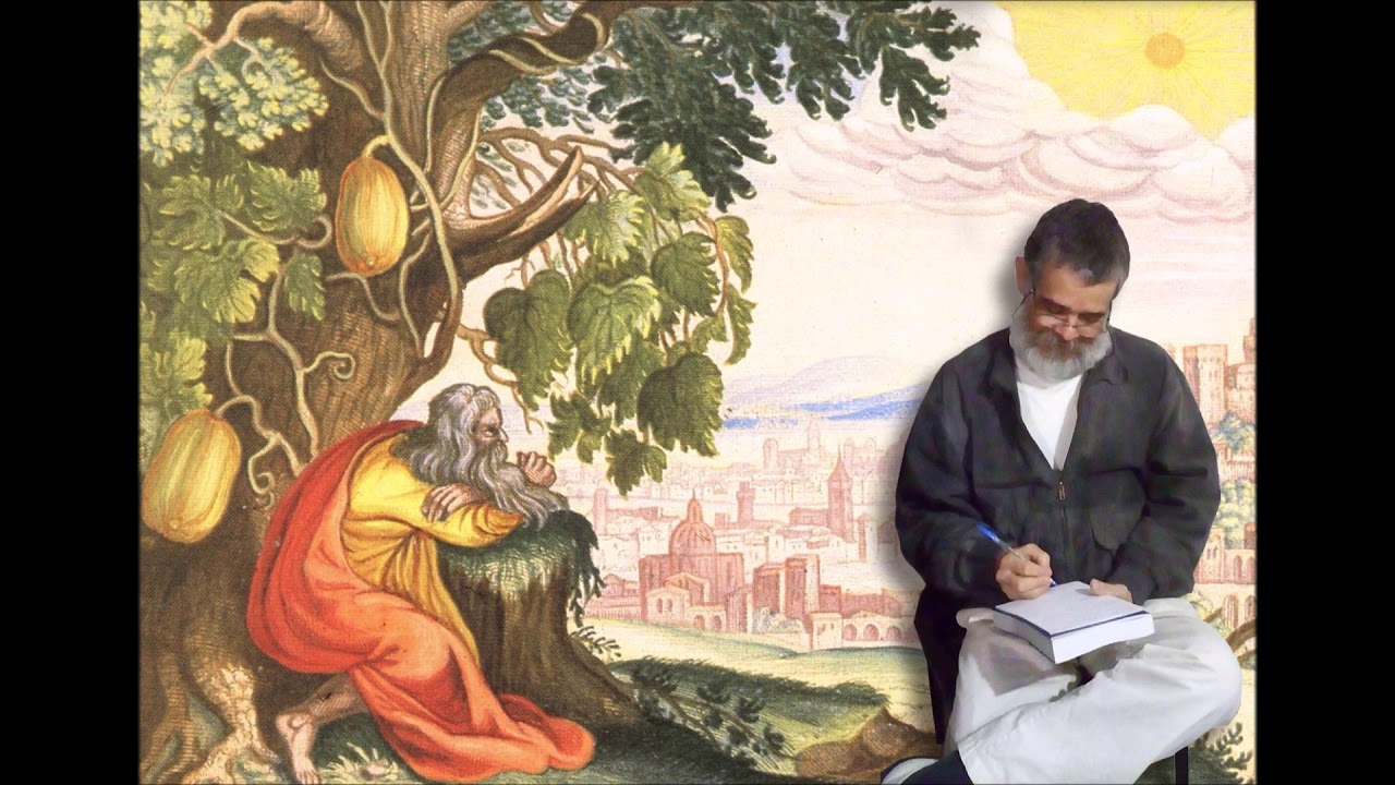 Olha a tua aboboreira - YouTube