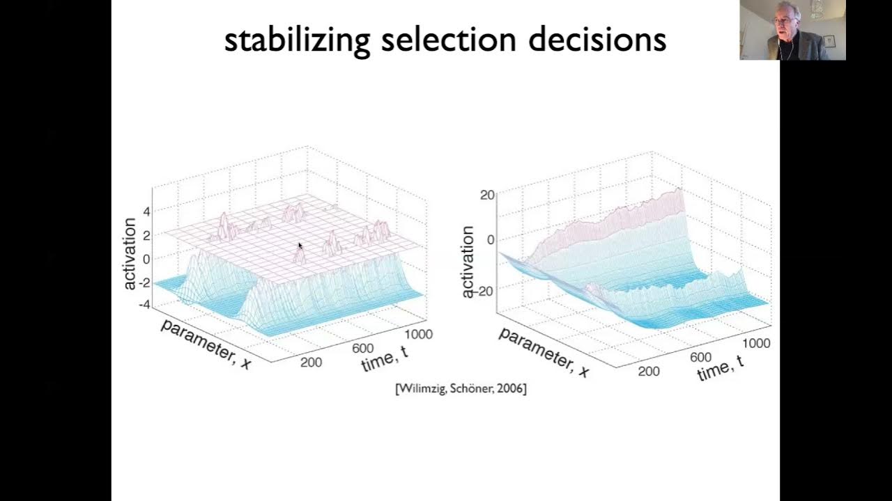 Dynamic Field Theory: Selection decisions - YouTube