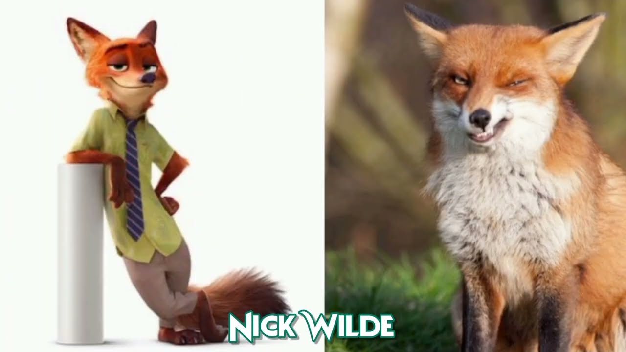 "Зверополис" в реальной жизни / "Zootopia" in real life - YouTube