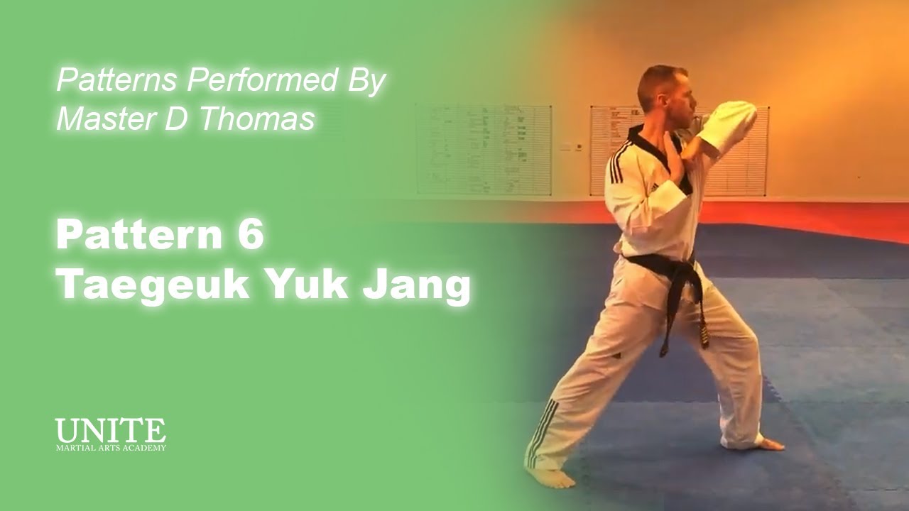 Pattern 6 Taekwondo Taegeuk Yuk Jang (6th Poomsae) Performed by Master ...