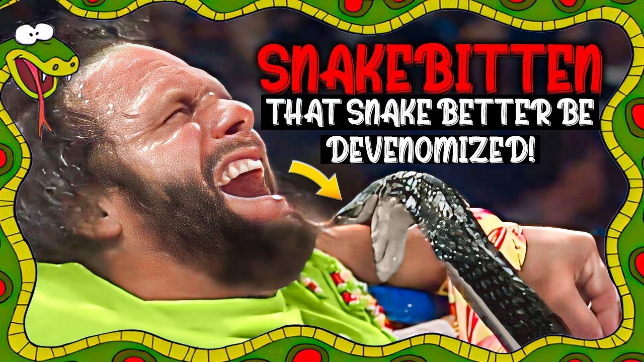 That Snake Better Be Devenomized! A King Cobra Bites Randy Savage! #wwe ...