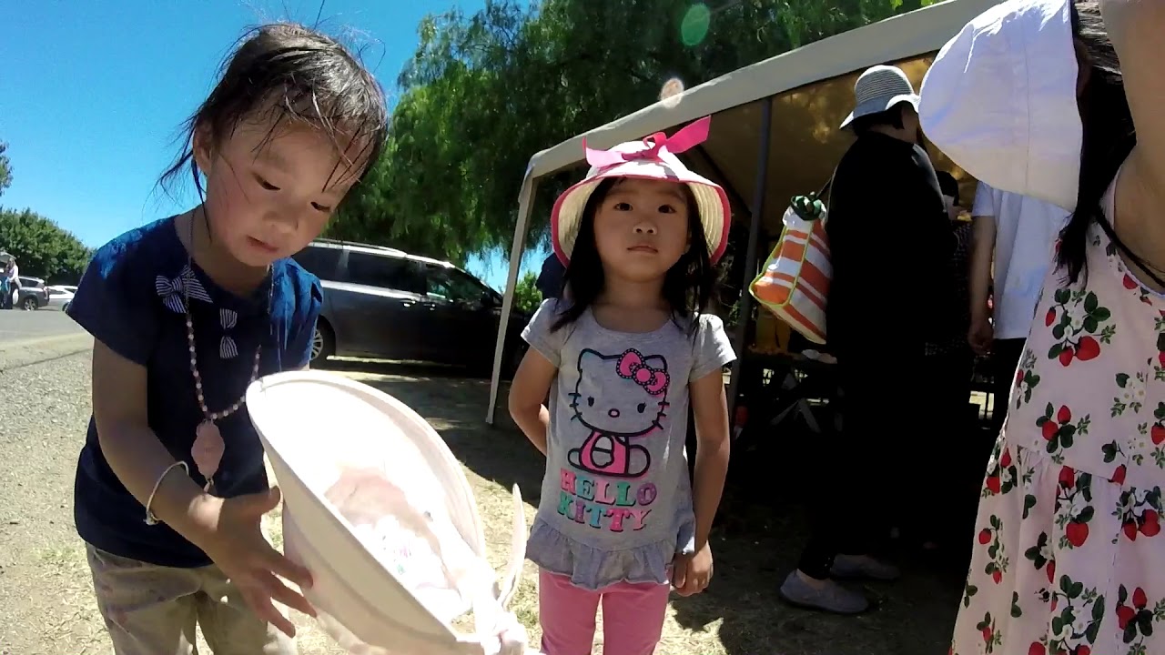 Apirl 2019 family part 2 62022052 - YouTube