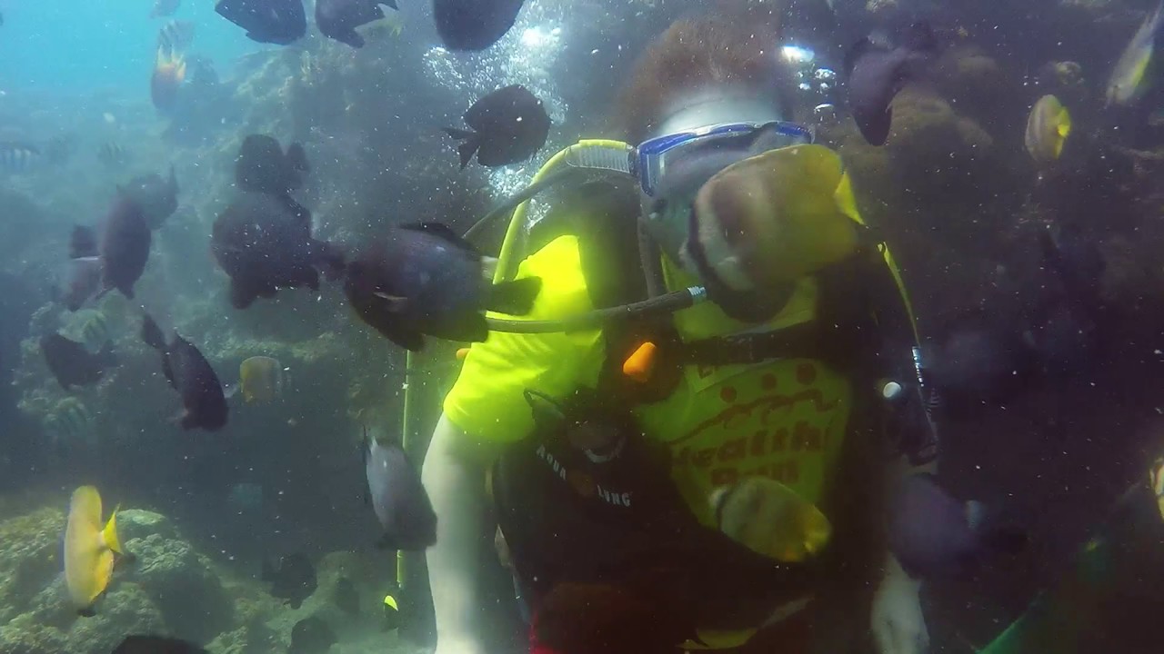 mother son discovery scuba & fun diving - YouTube