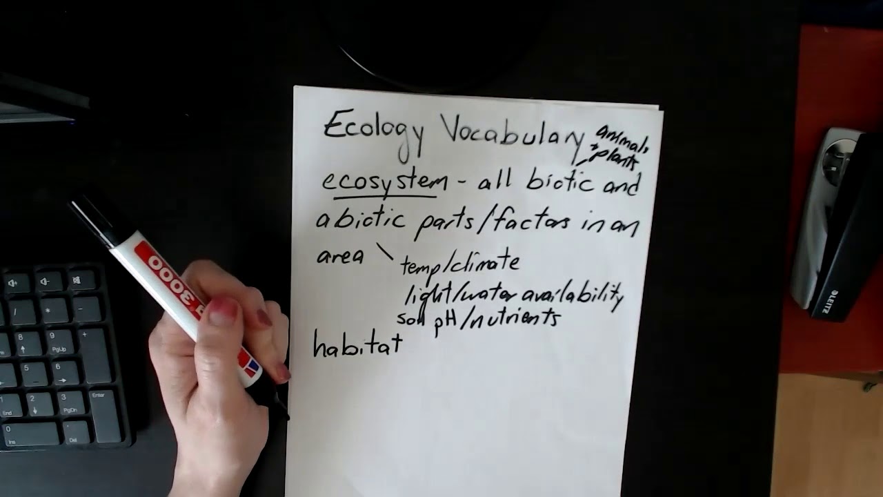 Ecology vocabulary and key terms - YouTube