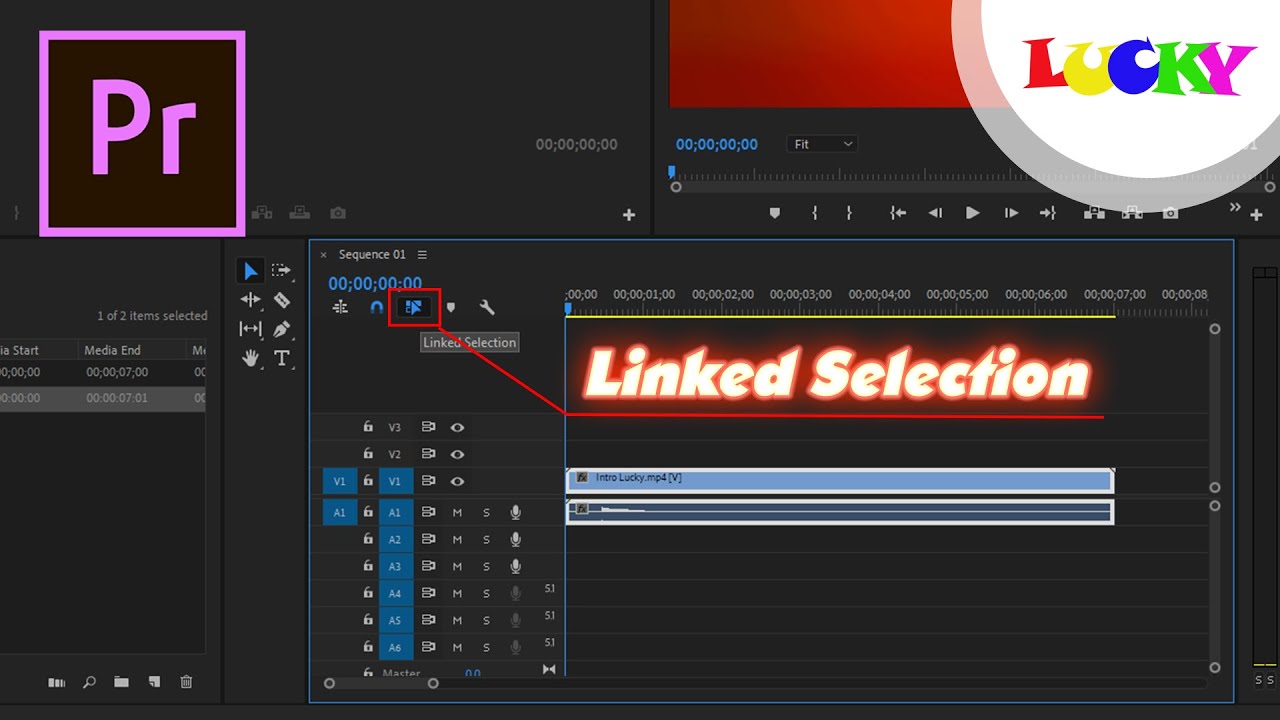 Linked selection,lựa chọn liên kết | Auto link,unlink audio và video ...
