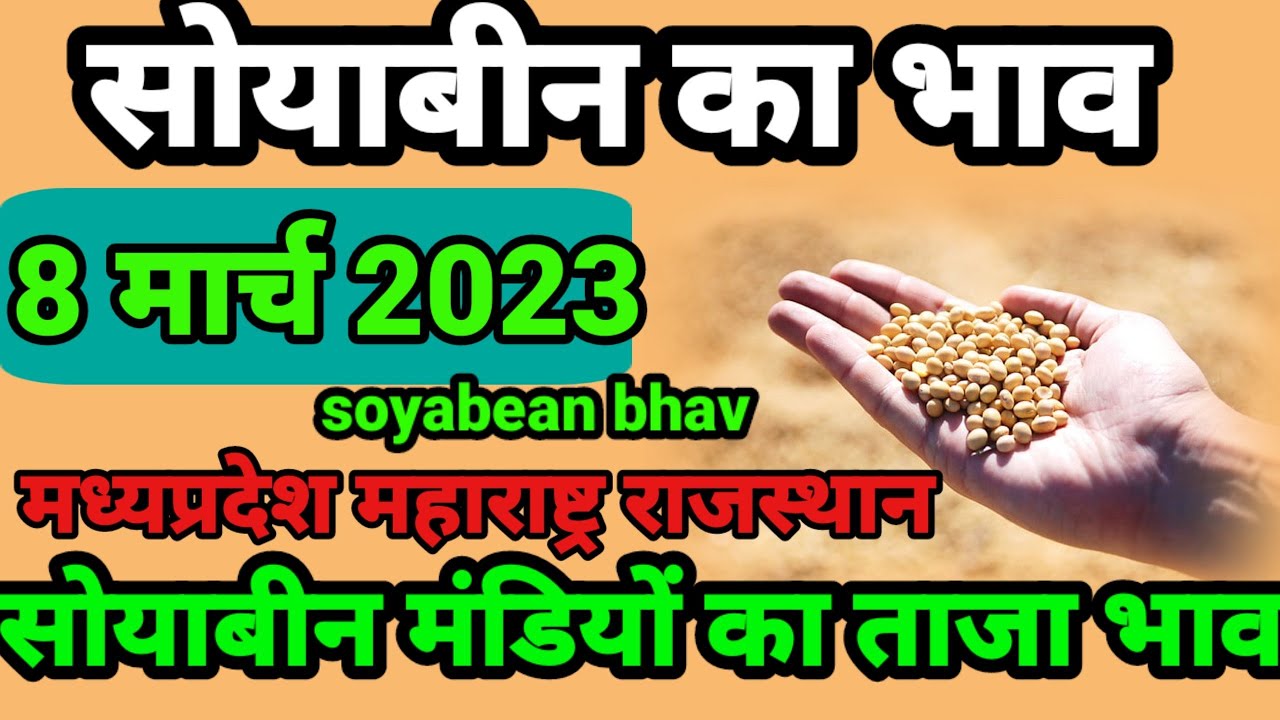 Soyabin ka bhav, Soya karate,Soyaben bhav Soyabean में जल्द आएगी ...