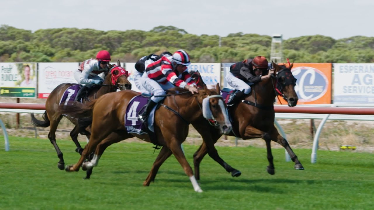 Destination WA - The Races WA - COUNTRY CUP STORIES - YouTube