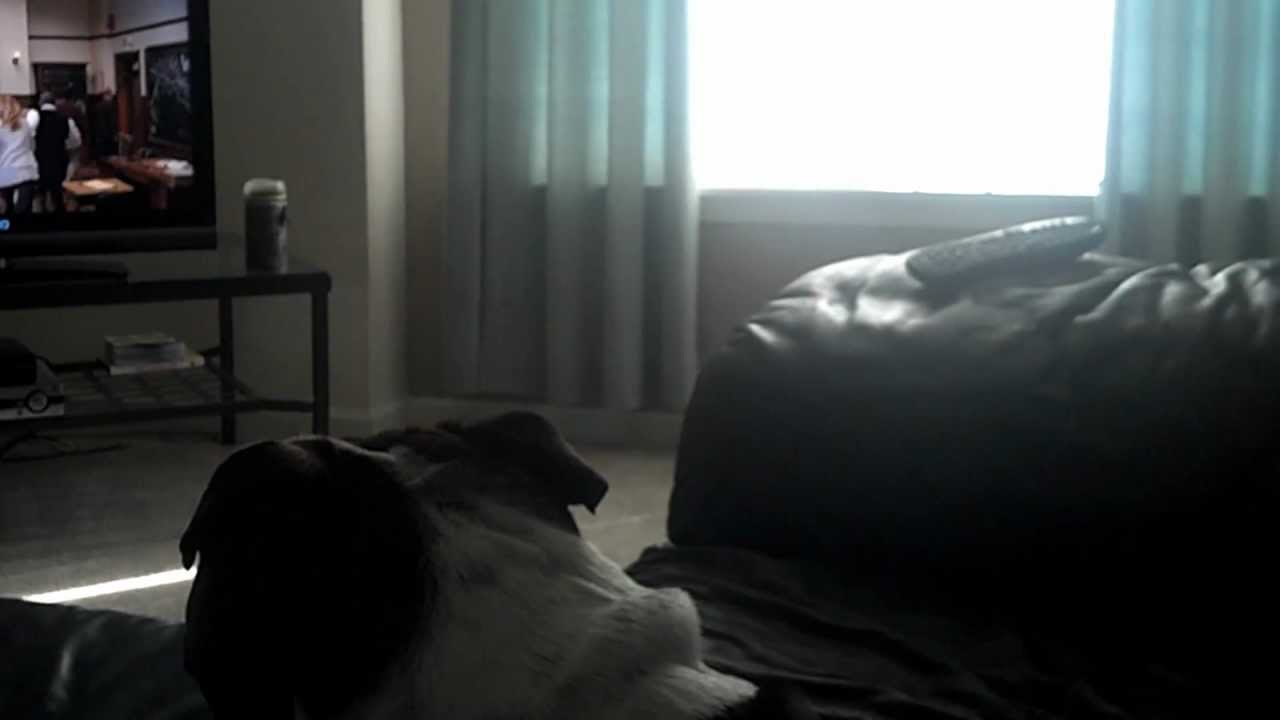 Charlie waking up to the Farmer's Insurance commercial - YouTube