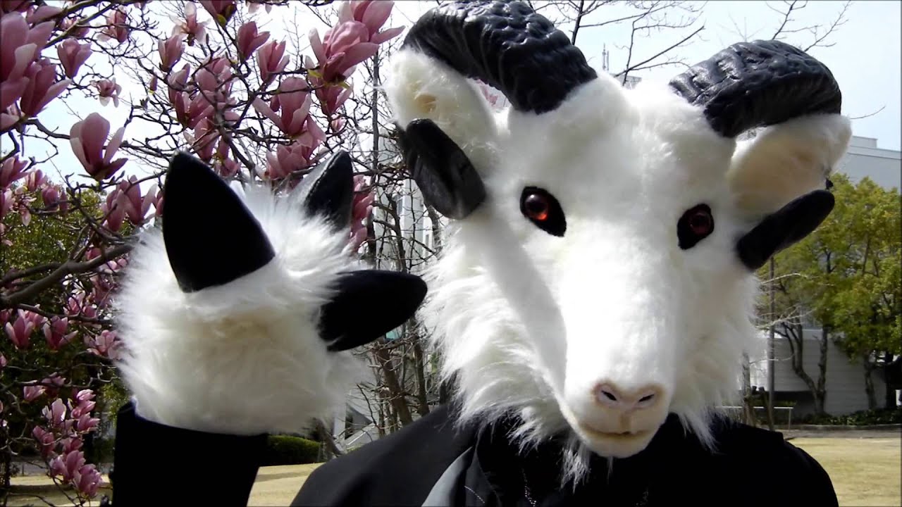 Sheep partial suit - YouTube