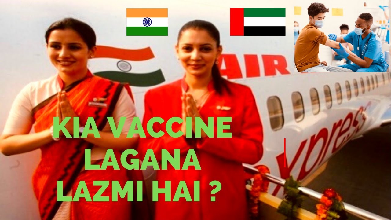 India To Dubai Flight Update Today India To Dubai Flight Latest News india-to-dubai-flight-update-today-india-to-dubai-flight-latest-news