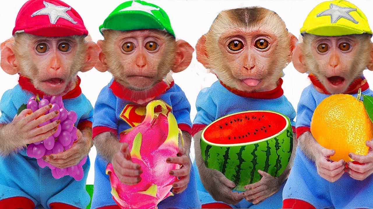 Monkey Bin drive truck to harvest fruit and eat in the garden - YouTube