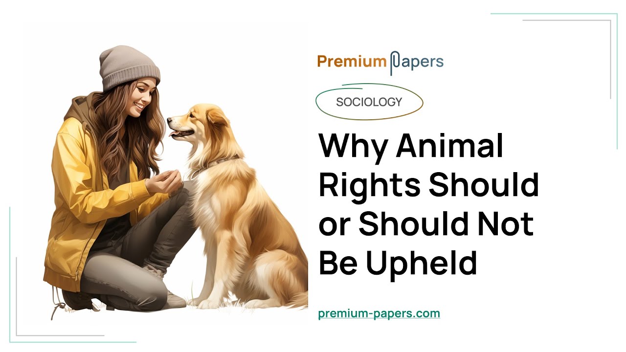 Why Animal Rights Should or Should Not Be Upheld - Essay Example - YouTube