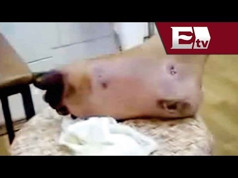 Krokodil: Adicto de Sonora está en observación / Excélsior Informa