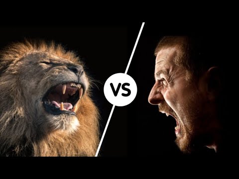 lions vs humans and army stay wild🐾🐾🐾🐾🐾🐾🐾🐾🦁🦁🦁🦁🦁🦁🦁🦁🦁🦁🦁 - YouTube