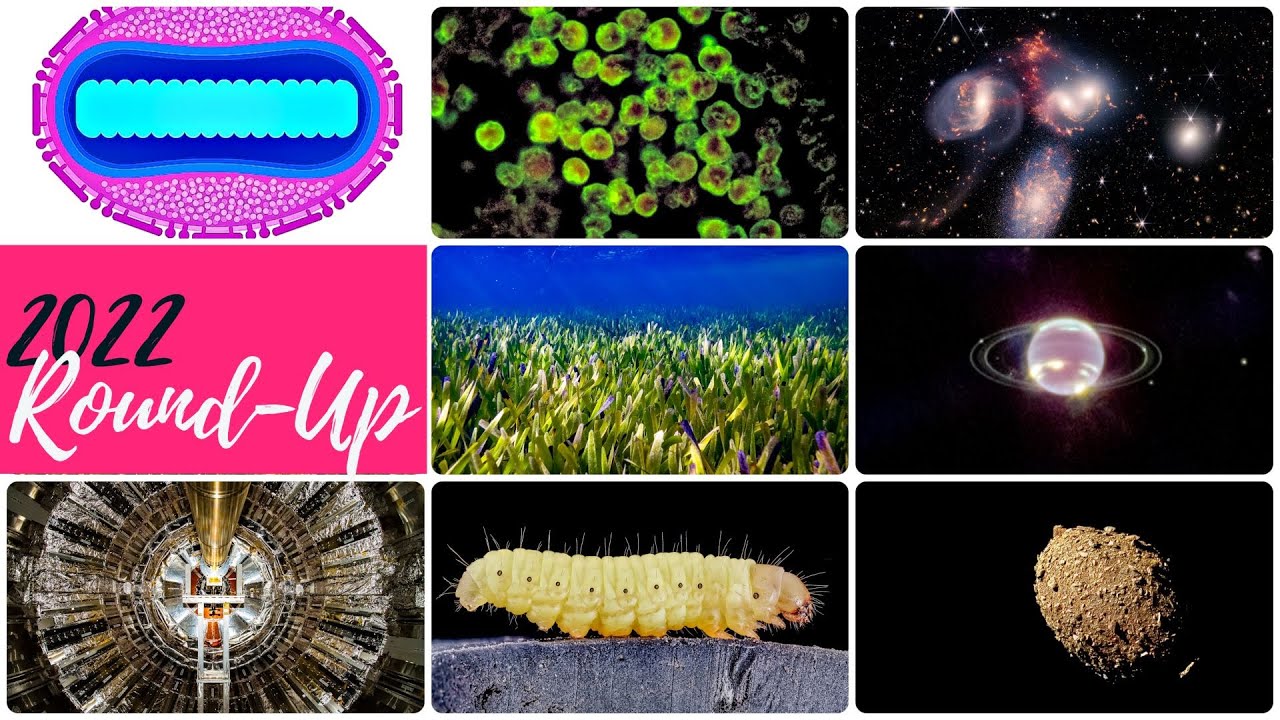 The Big 2022 Science Quiz | 22 Science Trivia Questions From 2022 ...