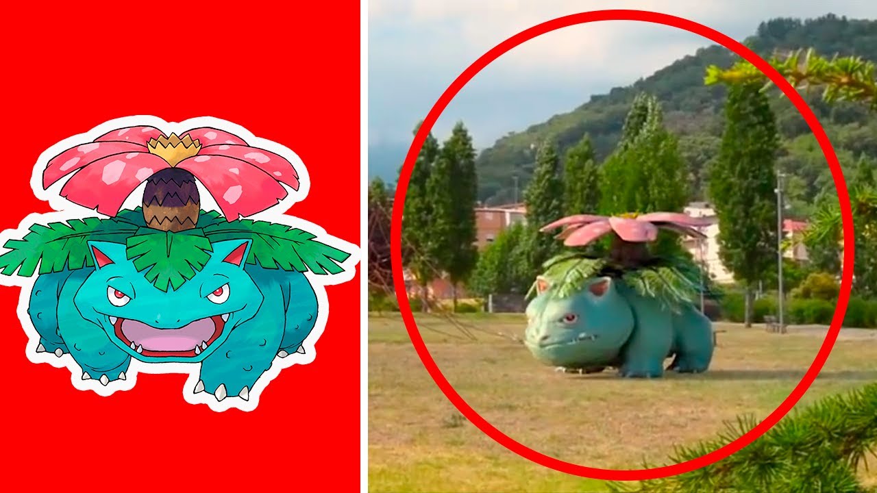 10 POKÉMONS En La Vida Real [Pokémons CAPTADO EN CAMARA] - YouTube