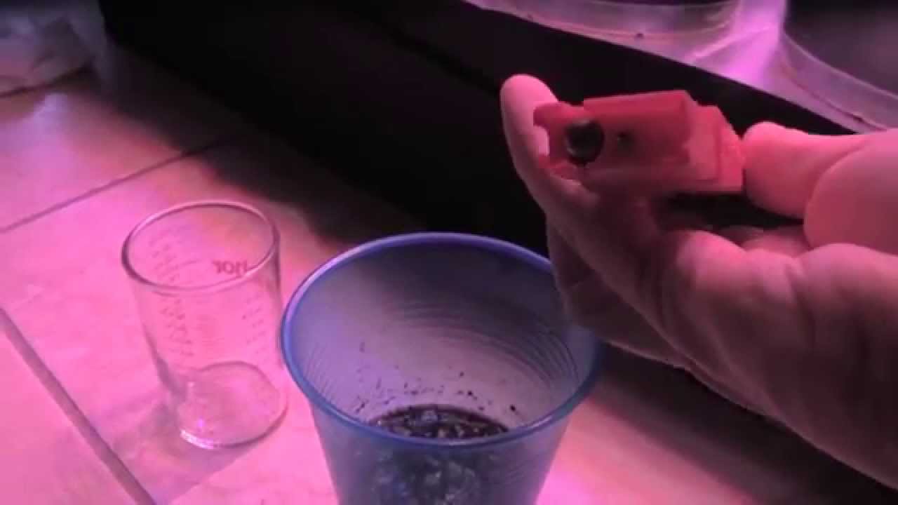 Budsimple.com - slurry test - testing our soil with a slurry test for ...