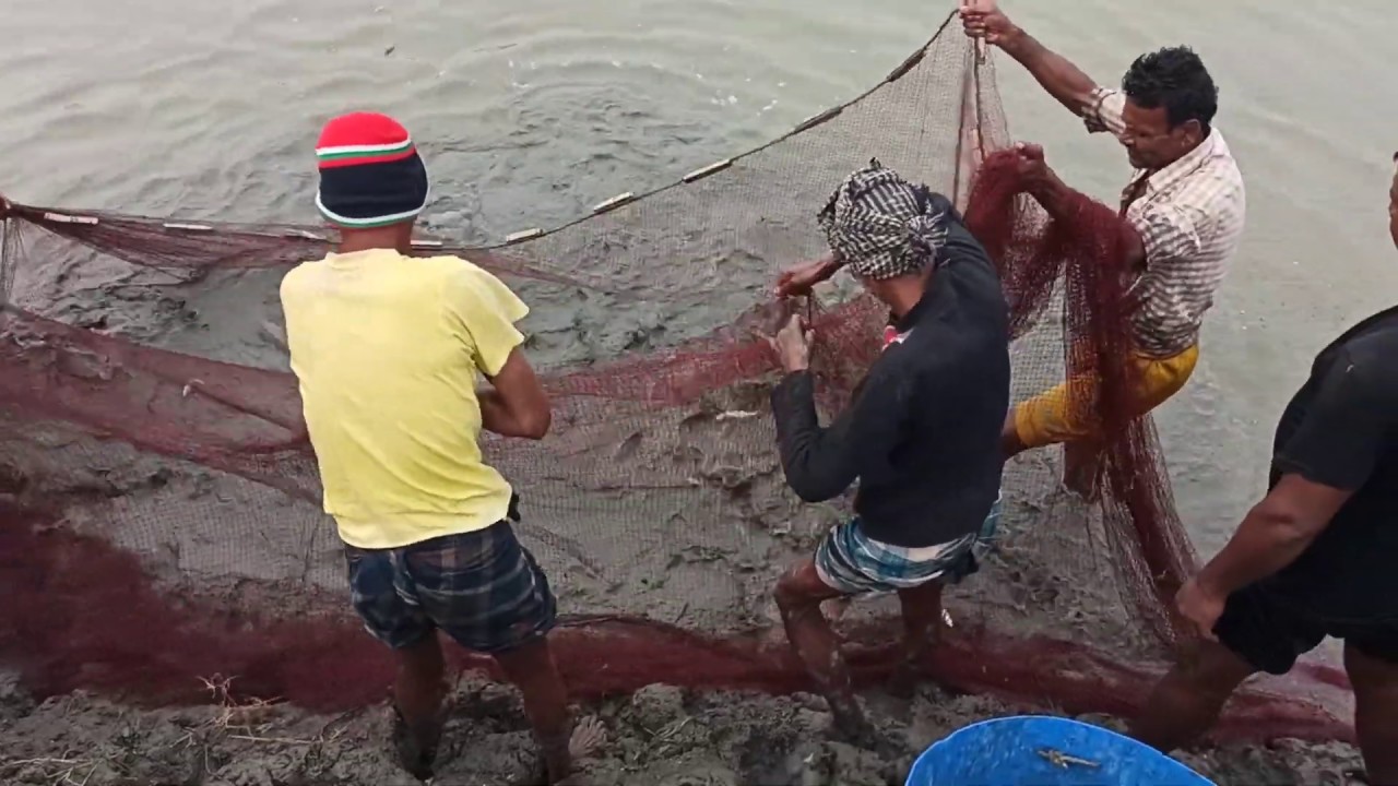 PRIMITIVE FISHING & CATCHING FISH VIDEO,Big Rohu,Carp Fish catching ...