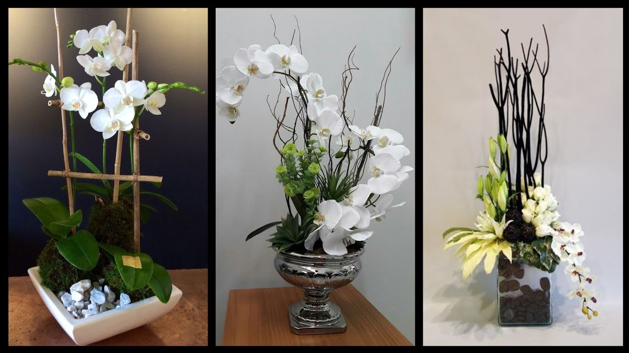 Beautiful and best collection of fresh and unique flowers - YouTube