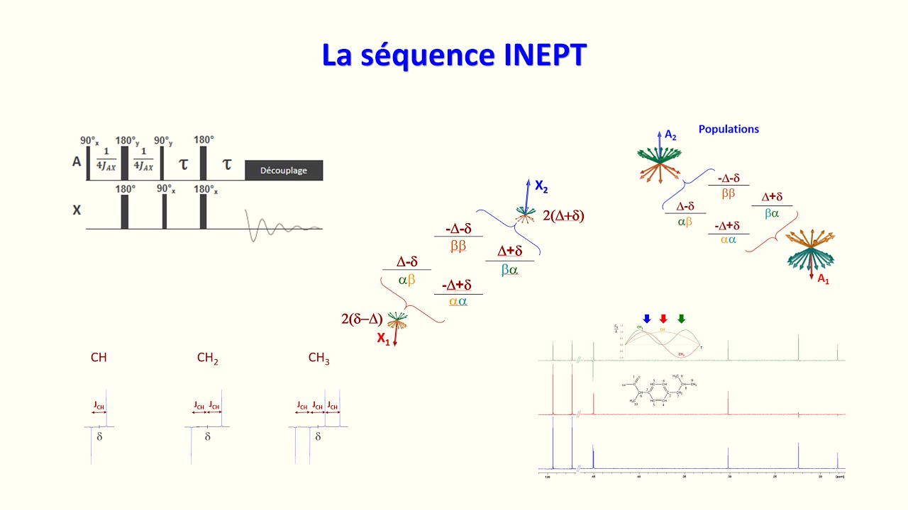 La séquence INEPT - YouTube