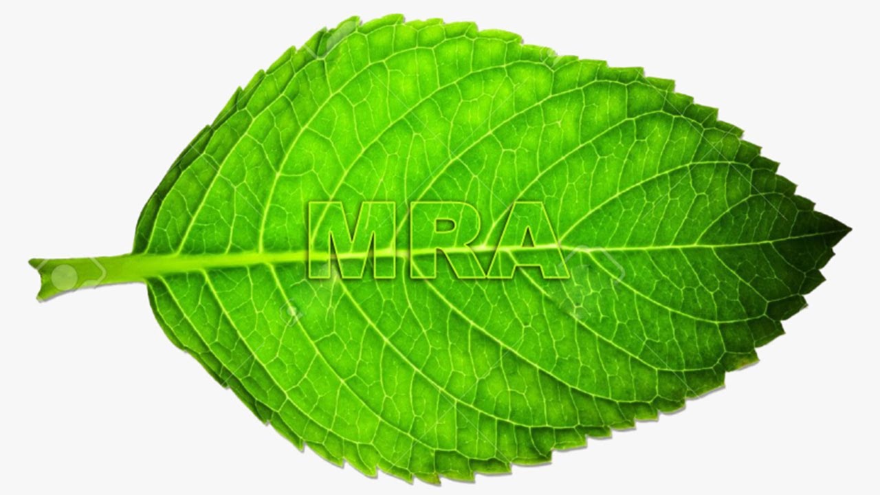 Masking In Photoshop Photoshop Masking How To Use Type Mask Tool In Masking In Photoshop Photoshop Masking How To Use Type Mask Tool In