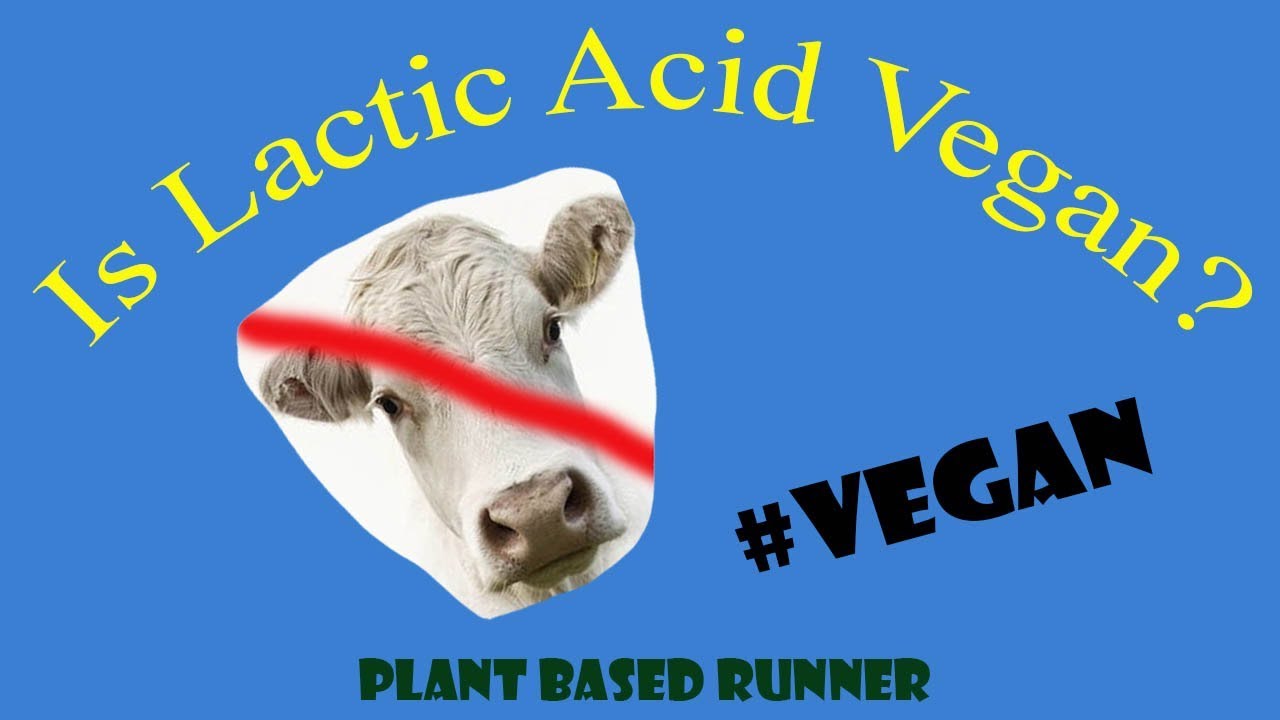 Is Lactic Acid Vegan? - YouTube