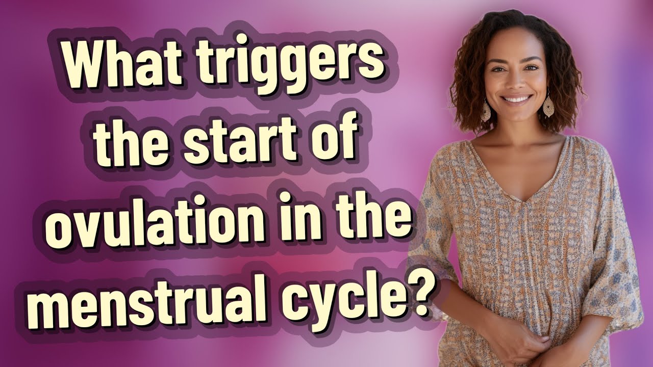 What triggers the start of ovulation in the menstrual cycle? - YouTube