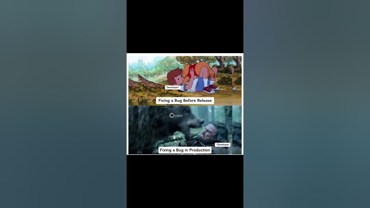 Developers Vs Qa Tester Memes Video Qaengineer Youtube