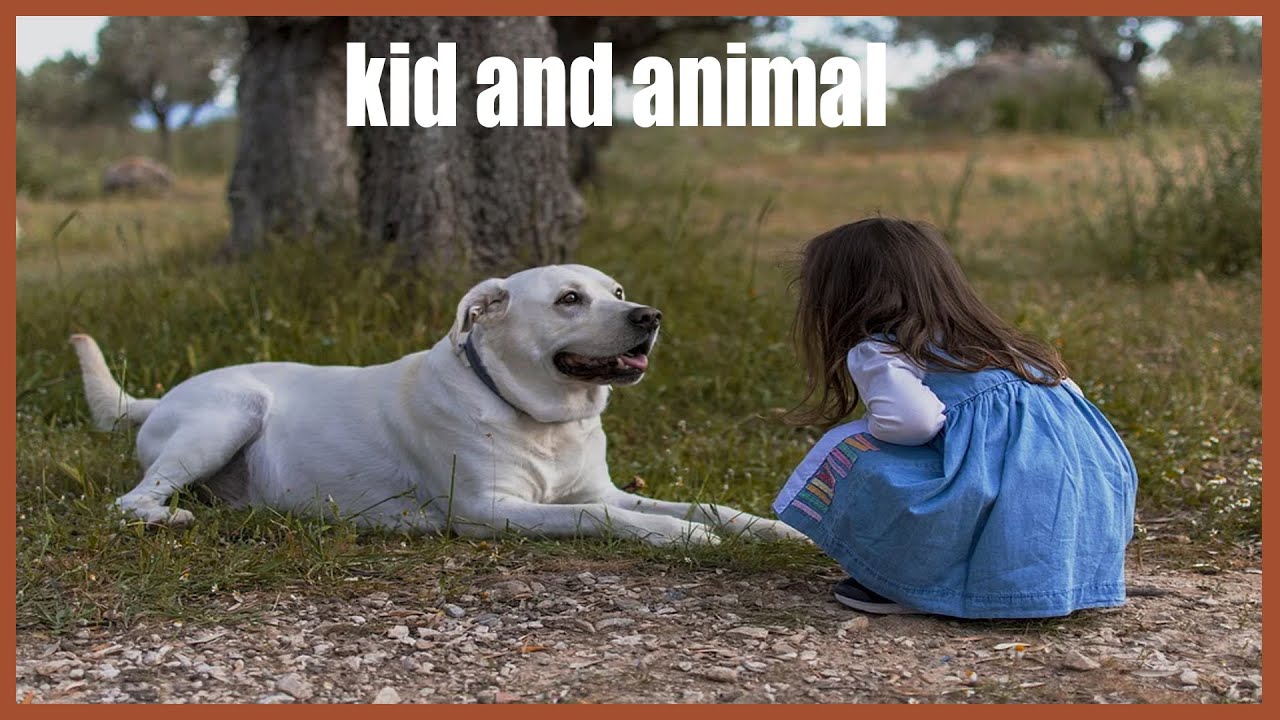 The Top 5 Small Animal Pets for Kids - YouTube