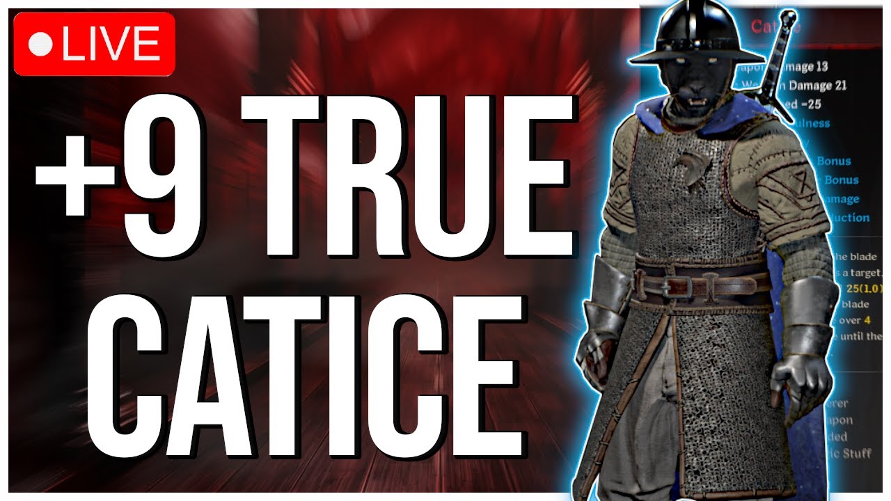 +9 True Catice - Then Farming , maybe Nipalan Kit| Dark And Darker ...