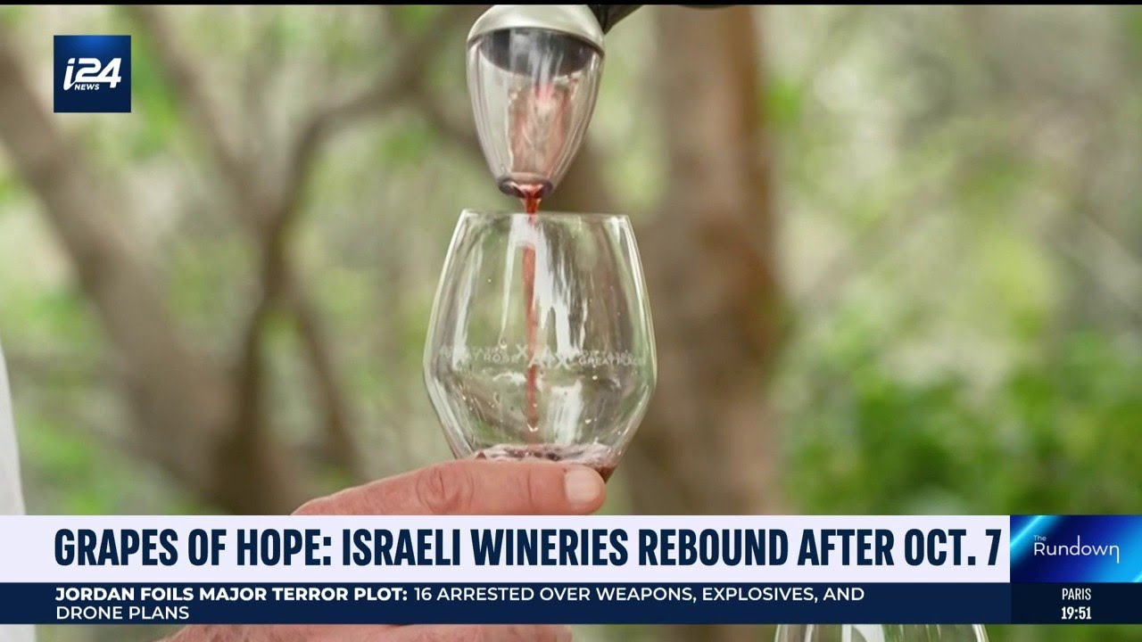 Grapes of Hope: Israeli Wineries rebound after October 7th - YouTube