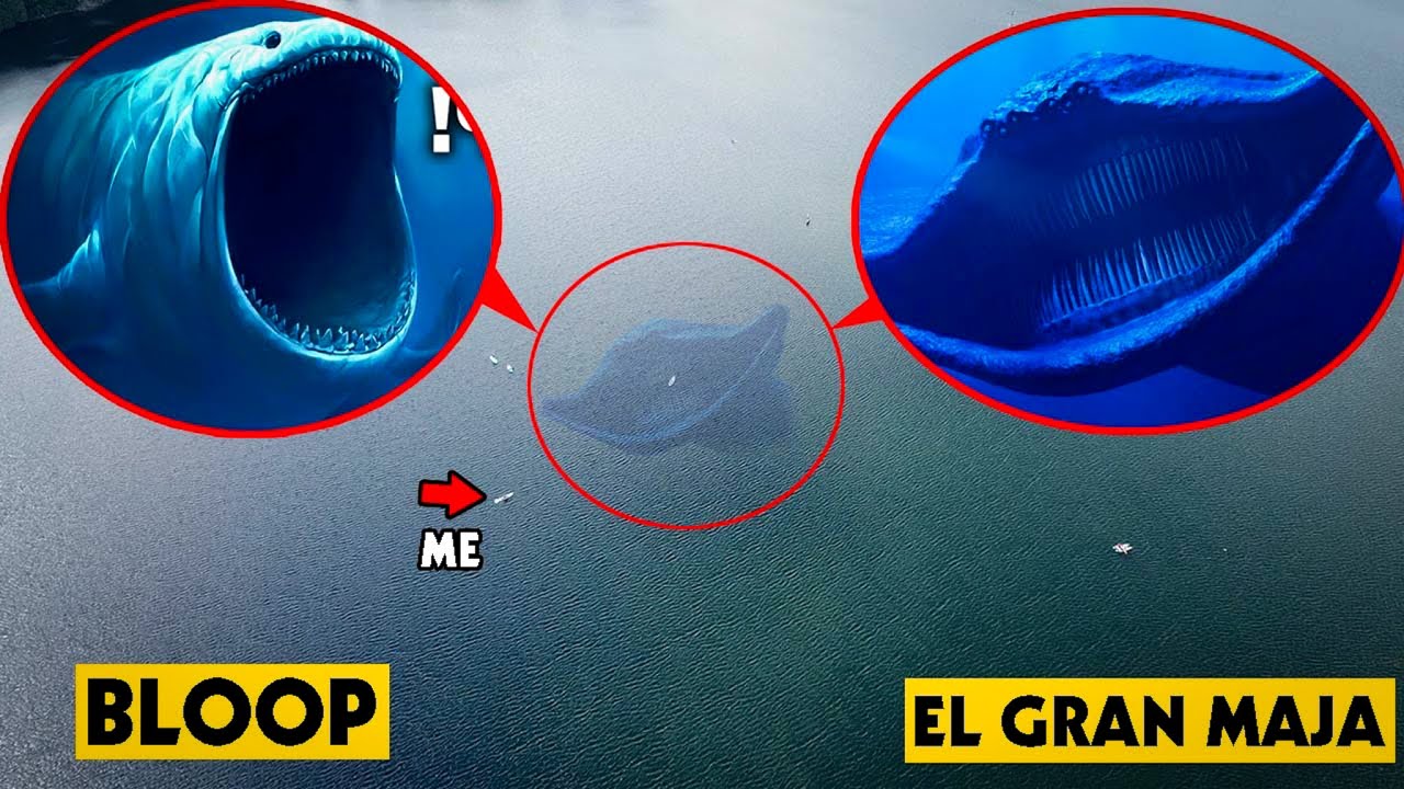 (GONE WRONG) DRONE CATCHES EL GRAN MAJA & THE BLOOP EATING A SHIP IN ...