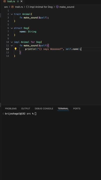 Traits Awesome Rust Hindi Rustlang Rustprogramming Programming Rusttutorial Rustgood