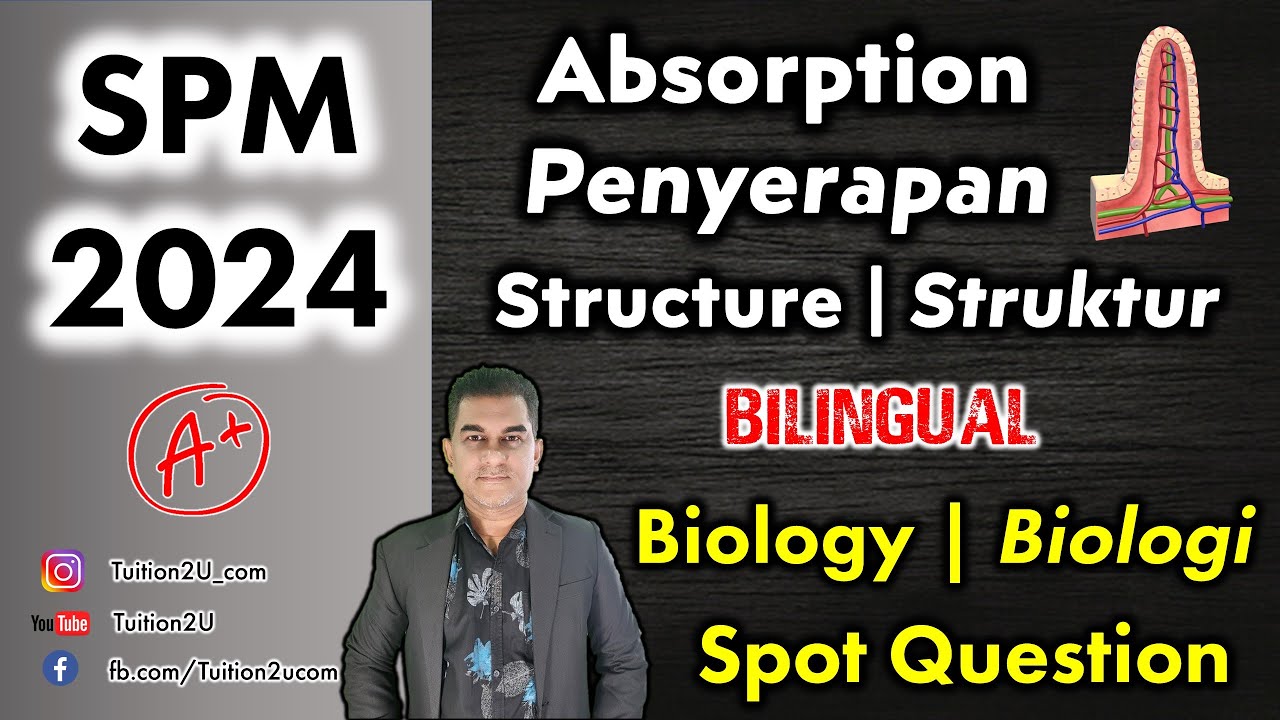 Absorption | Penyerapan - 2024 SPM Biologi | Biology - Soalan Ramalan ...