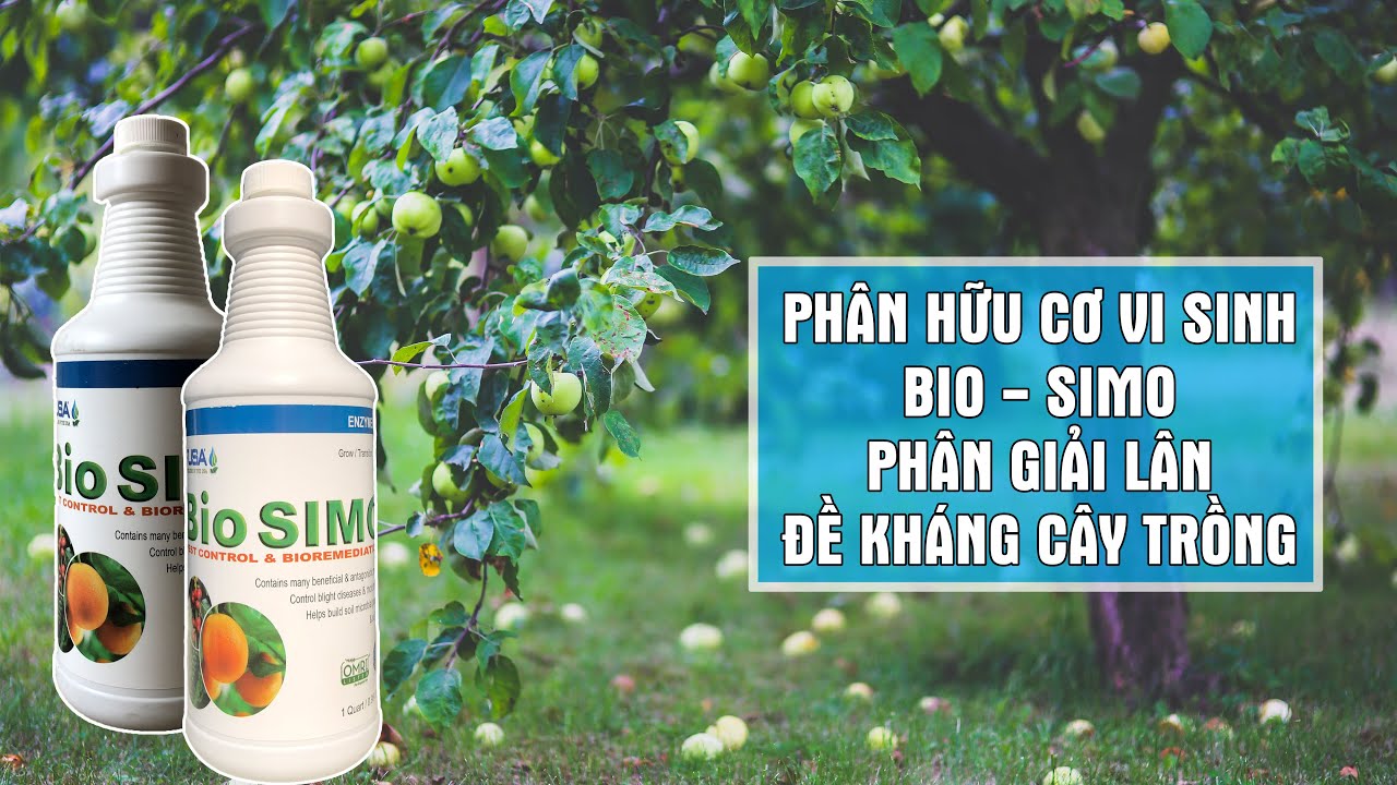 PHÂN HỮU CƠ VI SINH BIO SIMO PHÂN GIẢI LÂN TĂNG CƯỜNG ĐỀ KHÁNG CHO CÂY ...