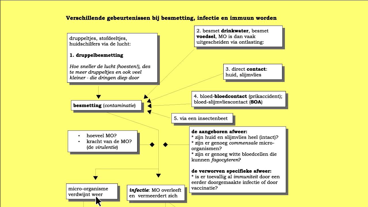 03-besmetting-infectie-02 - YouTube