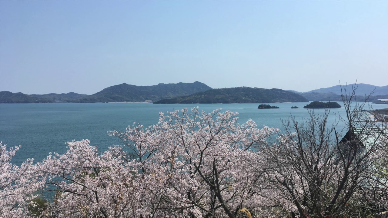 Teo Nguyen - Au Large - YouTube