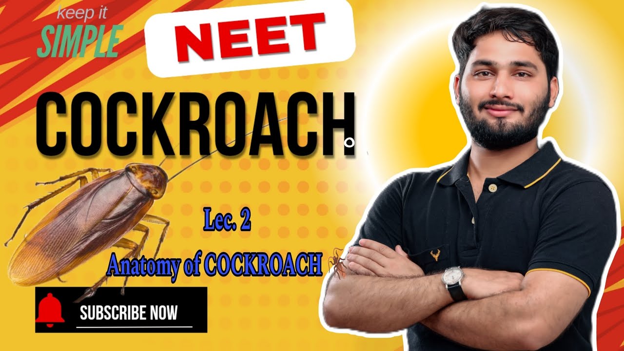 Anatomy of COCKROACH 🪳|| NEET zoology|| Lec. 2 ||As per the new NTA ...