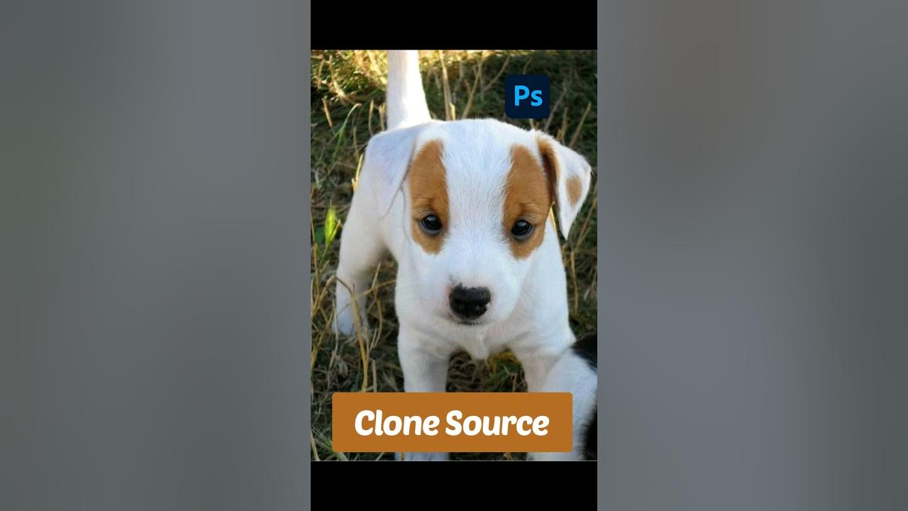 How To Clone In Photoshop youtubeshorts shorts photoshop Clone how-to-clone-in-photoshop-youtubeshorts-shorts-photoshop-clone