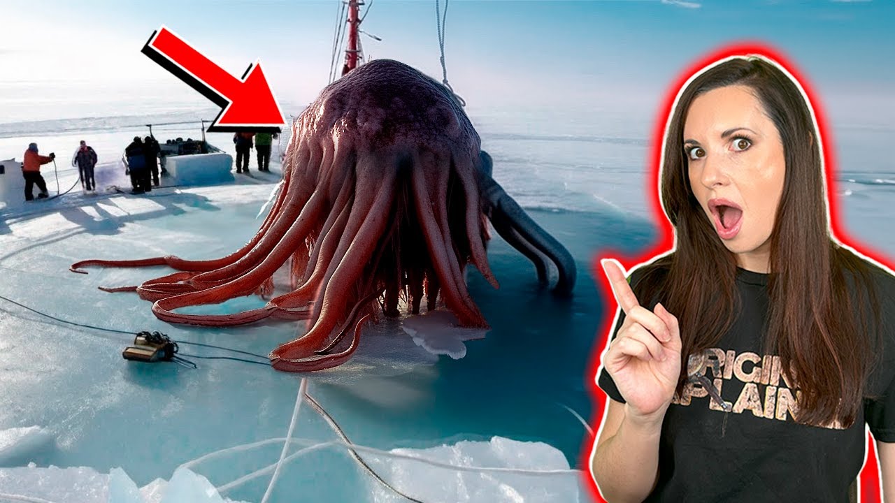 Strange Creature Sightings In The Ice - YouTube