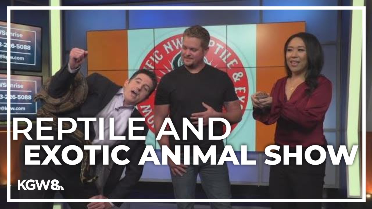 Reptile and exotic animal show returns to Hillsboro - YouTube