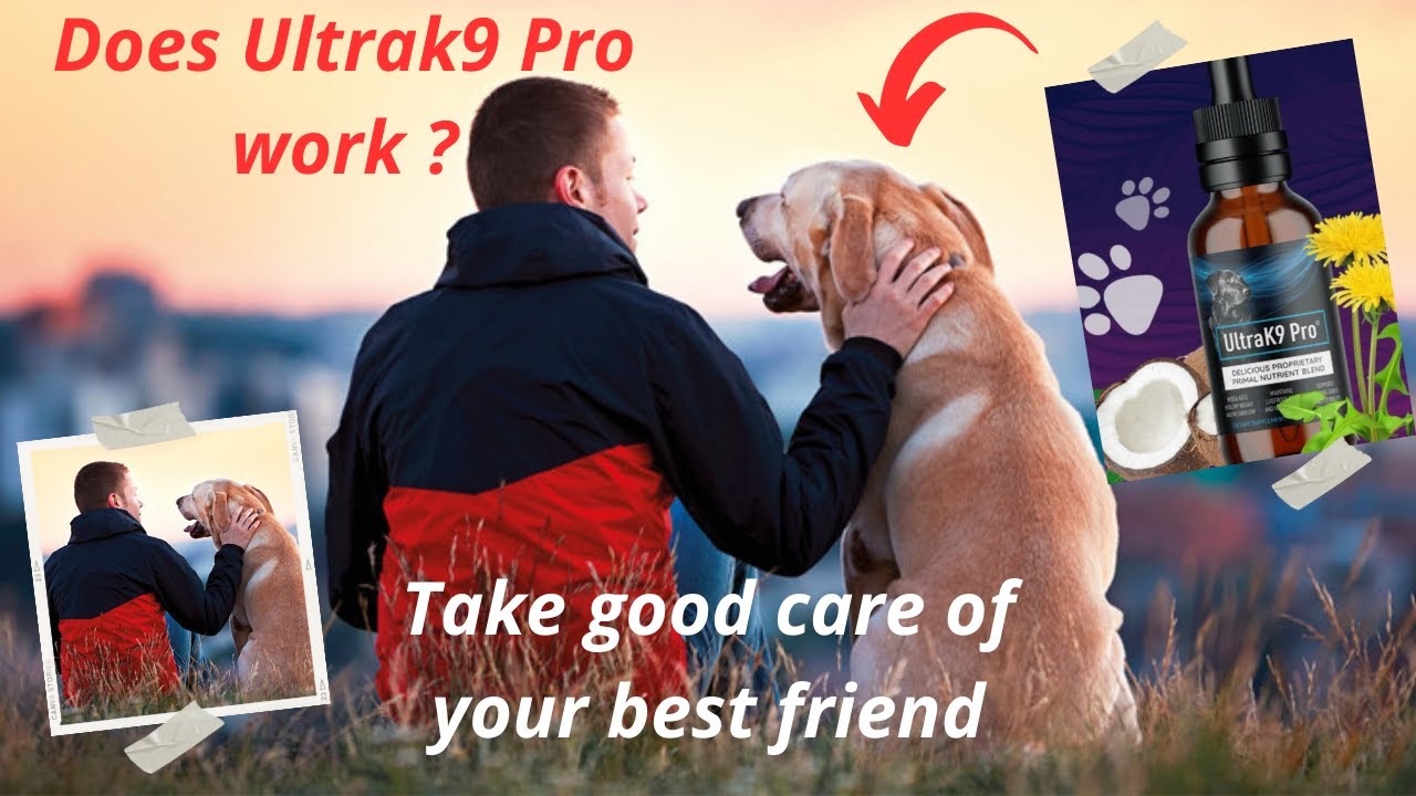UltraK9 Pro Review - Ultrak9 Pro Review - Ultrak9 Pro Honest Review ...