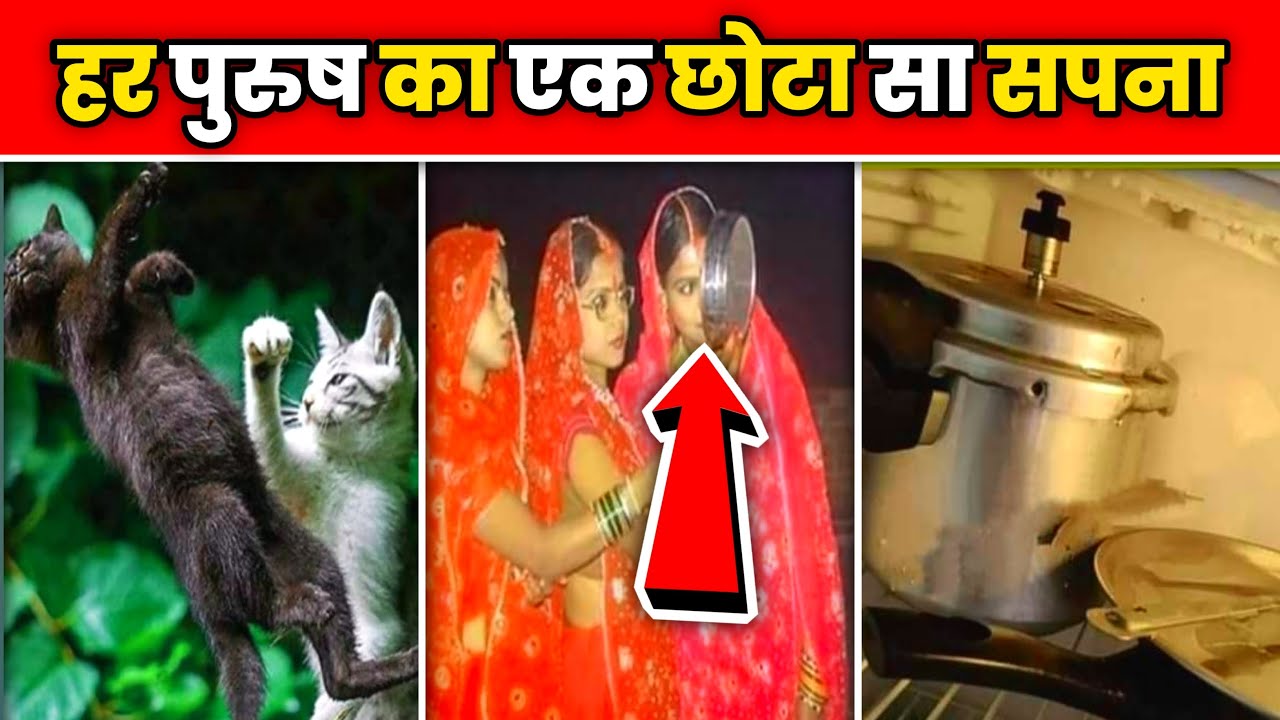 हर पुरुष का सपना | लोगो के funny कारनामे | funny memes | funny video comedy | funny facts ...