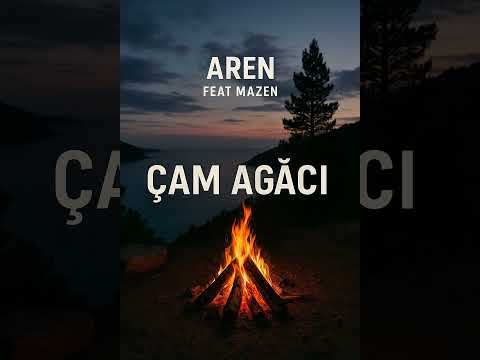 AREN FT MAZEN - ÇAM AĞACI