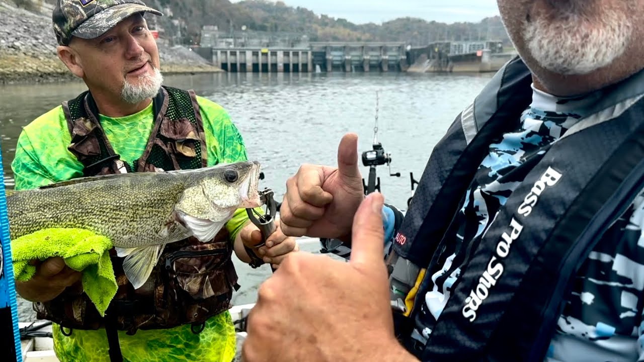 WALLEYE FISHING ON THE CUMBERLAND RIVER! GIANT WALLEYE - YouTube
