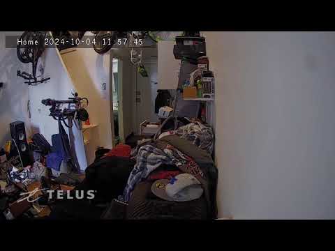 cat Home alone calling for me say my name@she the only one home this recorded on my homealarmcamera